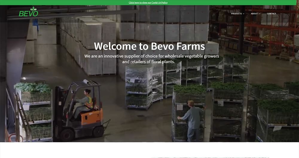 Top IT Outsourcing | Custom Software Development and Consulting Company ...